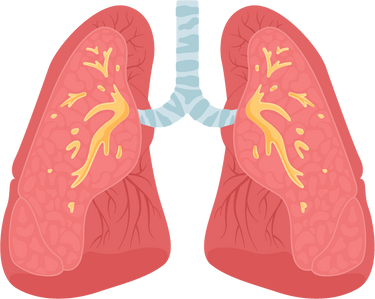Respiratory Muscle Training - THE BREATHER